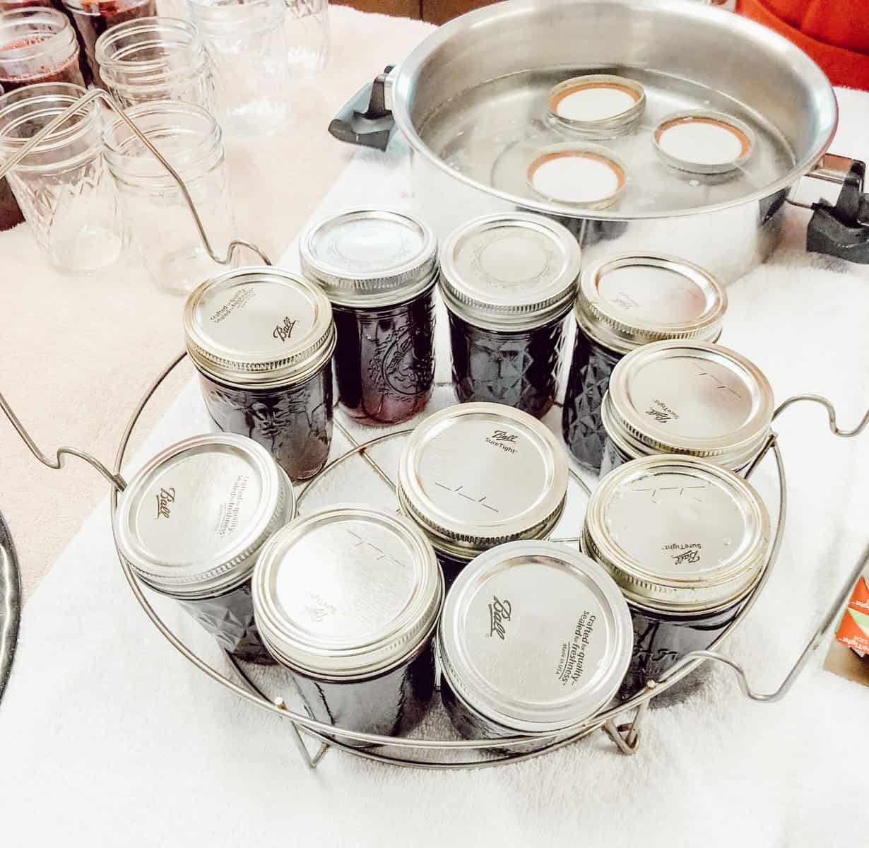 The BEST Homemade Raspberry Jelly - Mornings on Macedonia