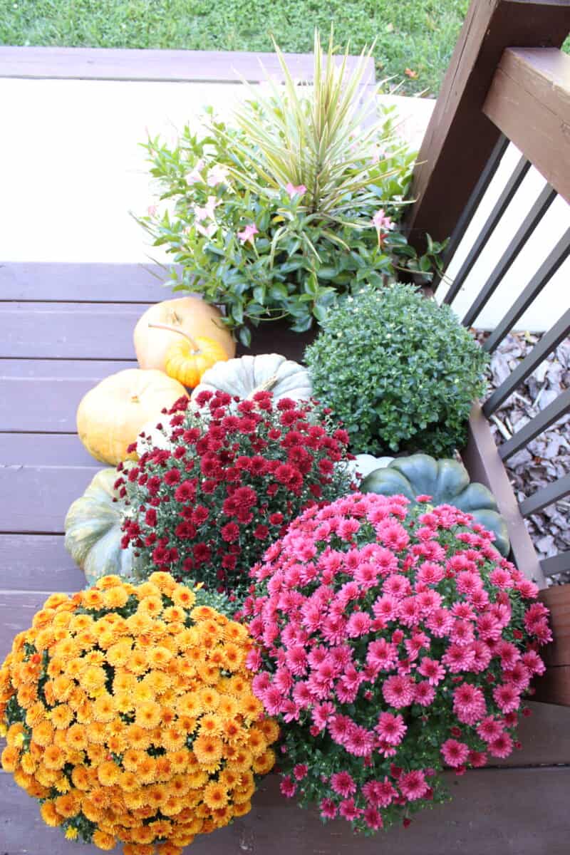 Fall Home Tour 2022 - Mornings on Macedonia
