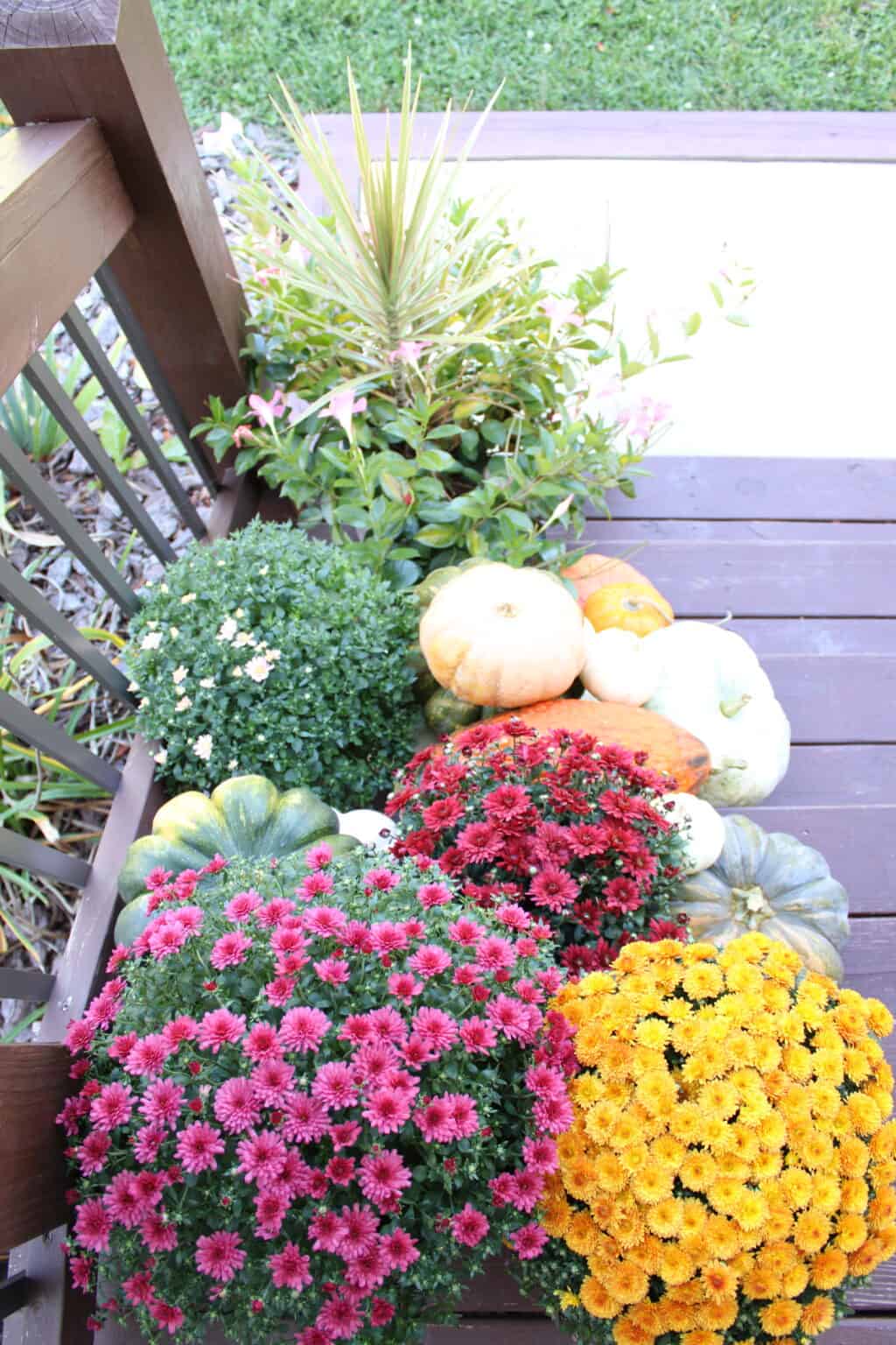 Fall Home Tour 2022 - Mornings on Macedonia