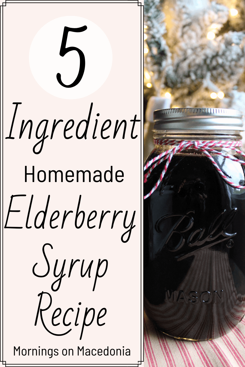 Homemade Elderberry Syrup Recipe (Without Honey) - Mornings on Macedonia
