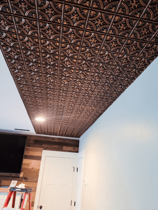 DIY: How to Install Ceiling Tiles - Mornings on Macedonia
