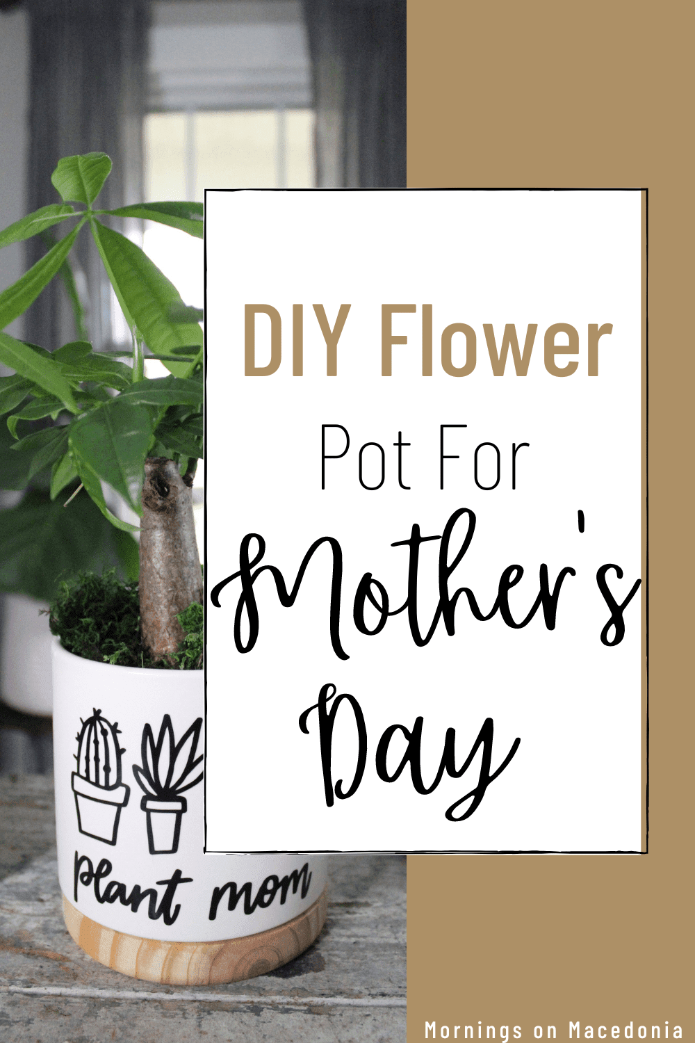DIY Flower Pot Idea For Mother's Day - Mornings on Macedonia