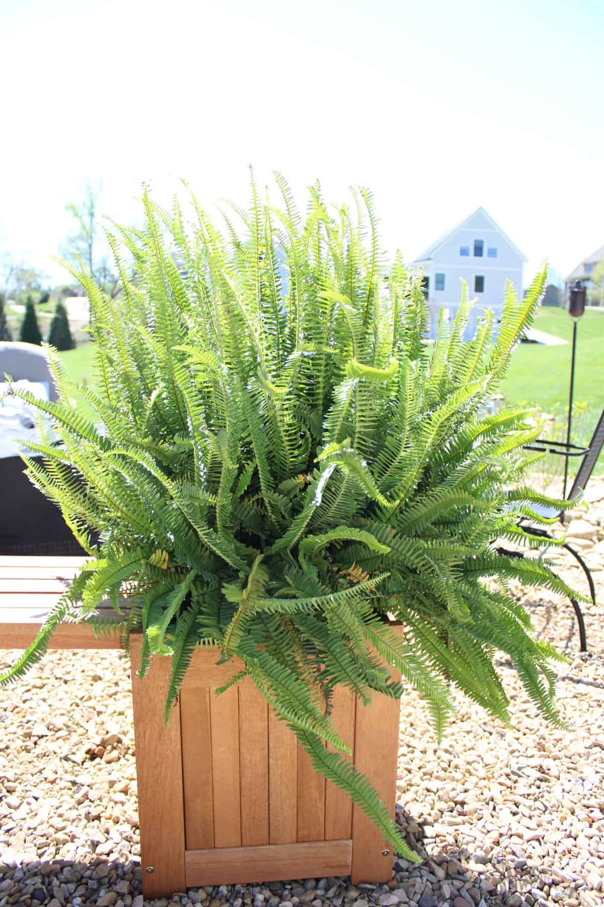 Planter Bench Ideas - Mornings on Macedonia