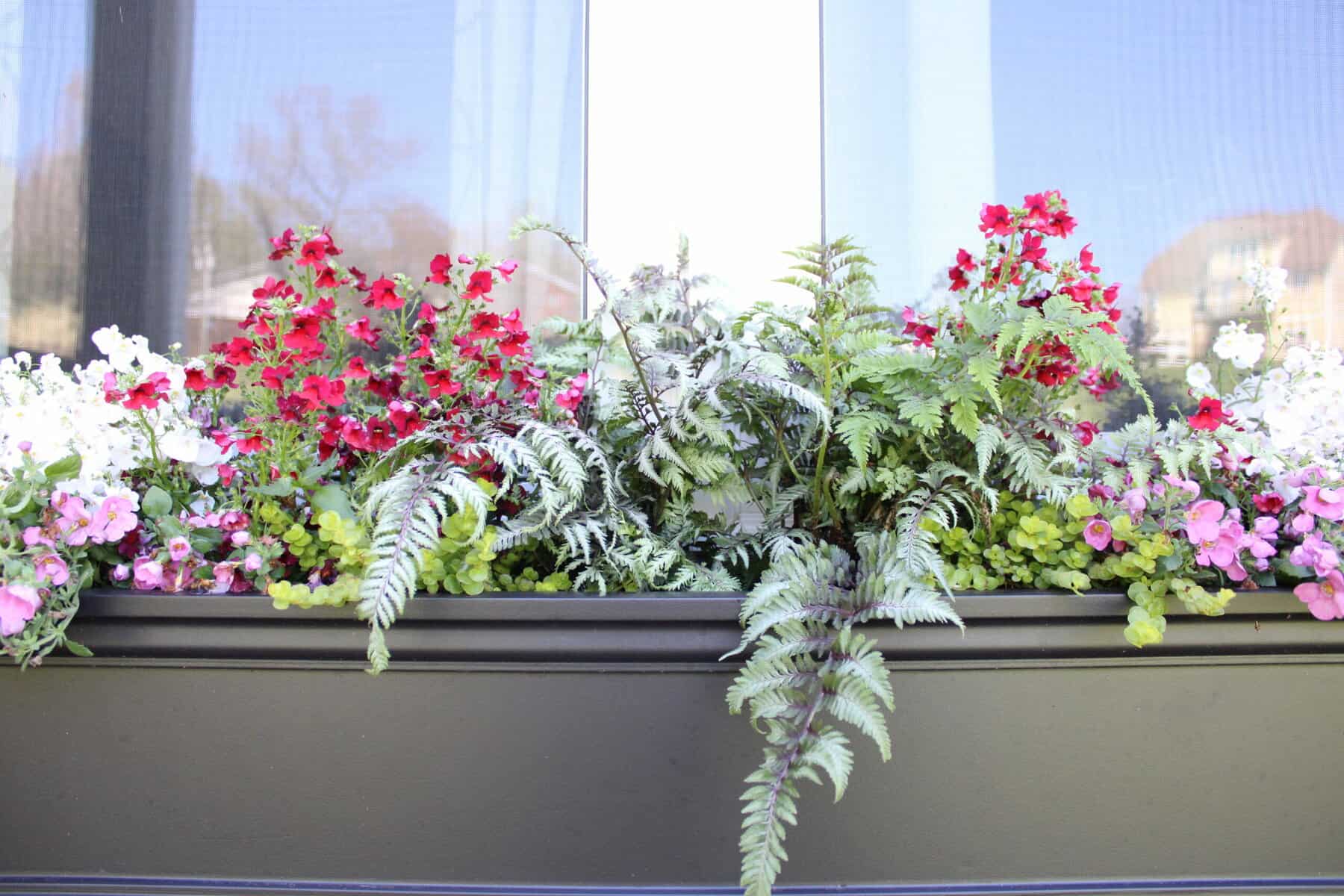 How To Add Instant Curb Appeal To Your House By Adding A Window Box ...