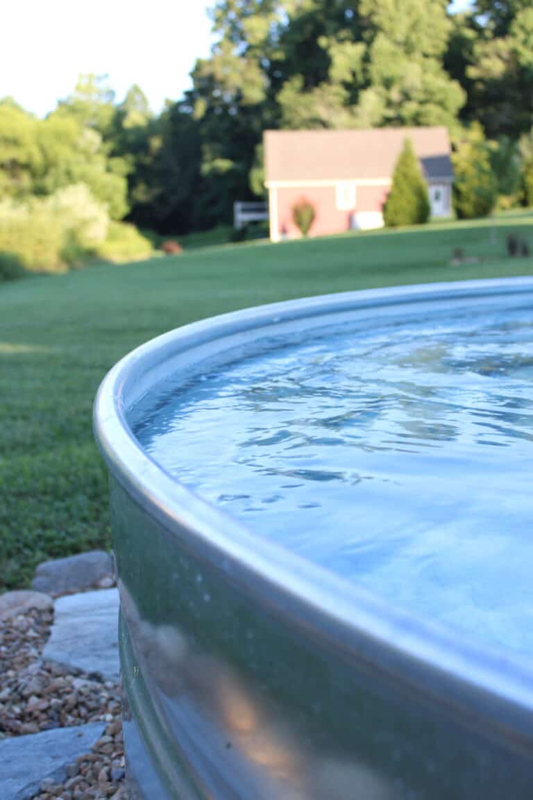 The Best Plants For An Above Ground Pool - Mornings on Macedonia