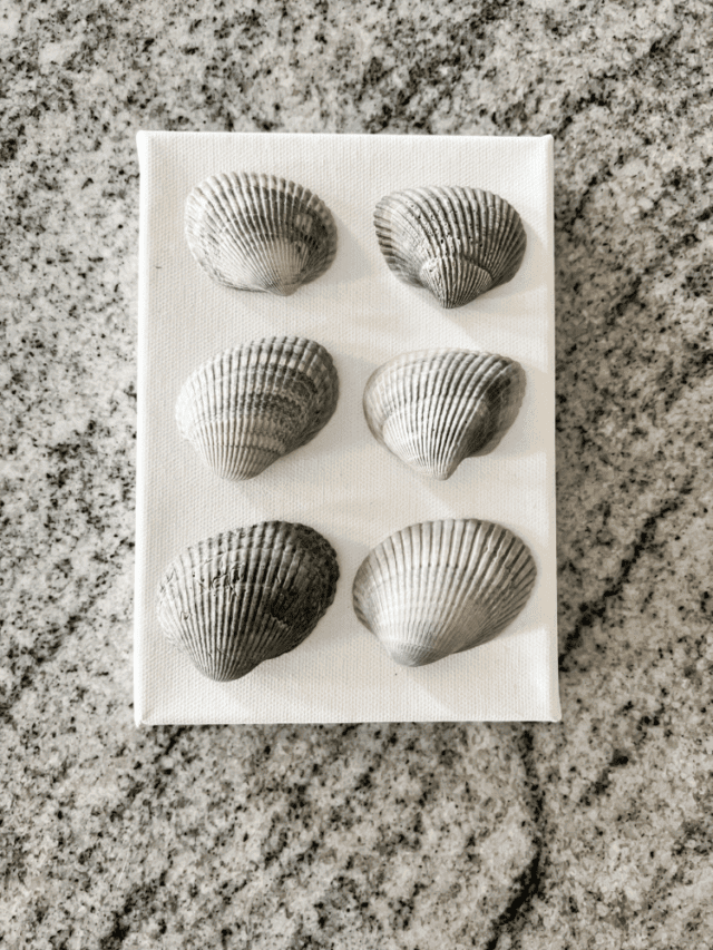 DIY Seashell Wall Decor - Mornings on Macedonia