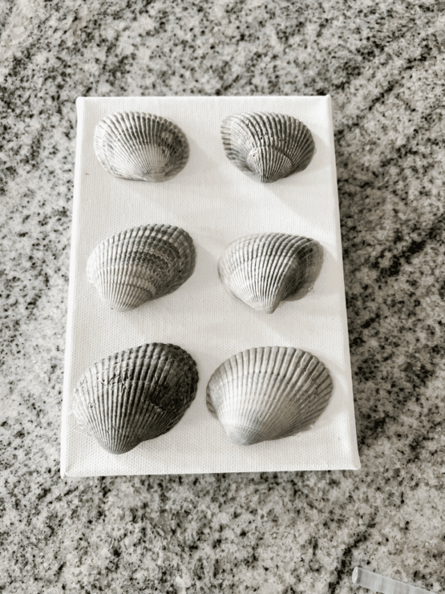 DIY Seashell Wall Decor - Mornings on Macedonia