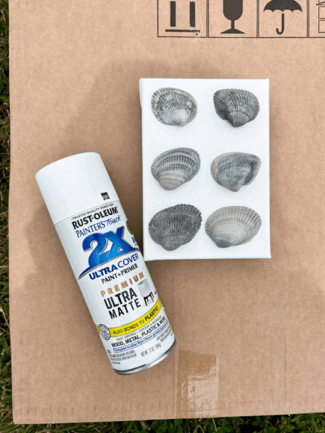 DIY Seashell Wall Decor - Mornings on Macedonia