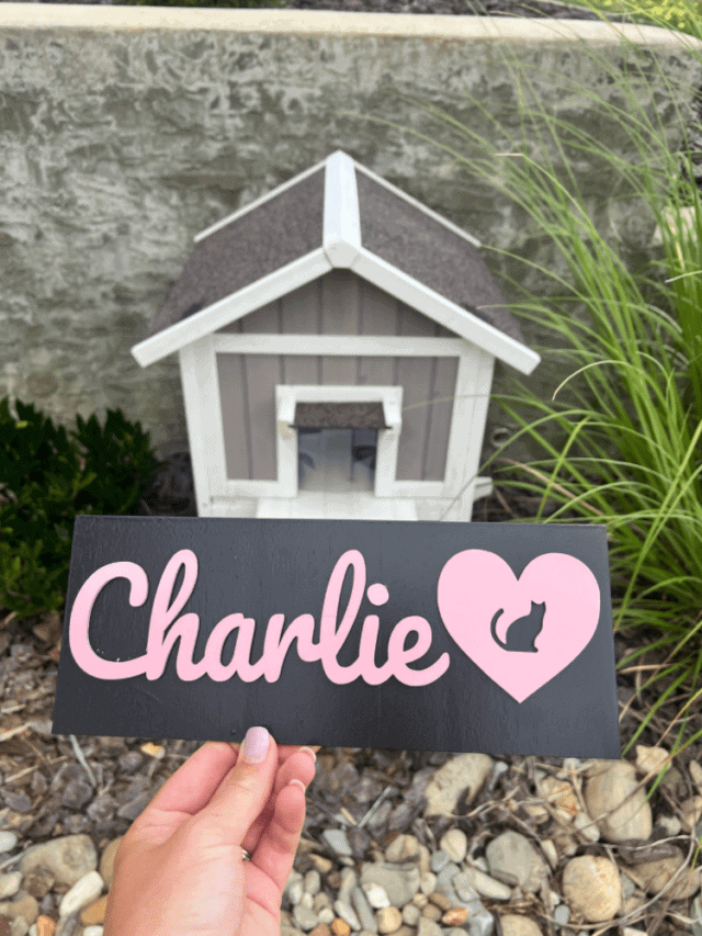 DIY Cat Sign - Mornings on Macedonia