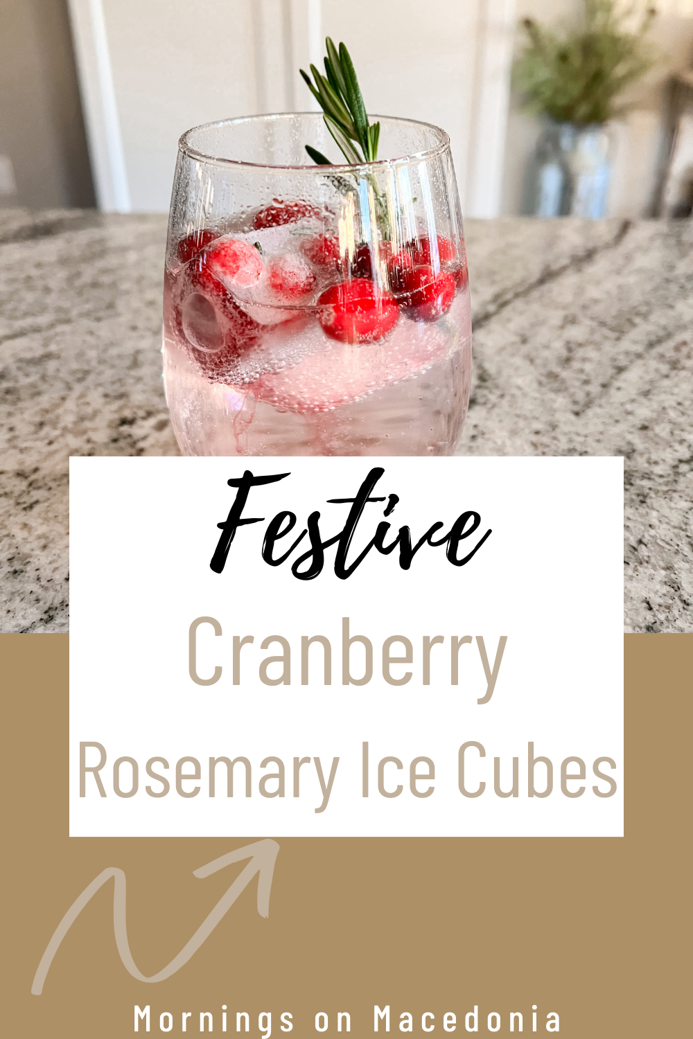 Festive Cranberry Rosemary Ice Cubes - Mornings on Macedonia
