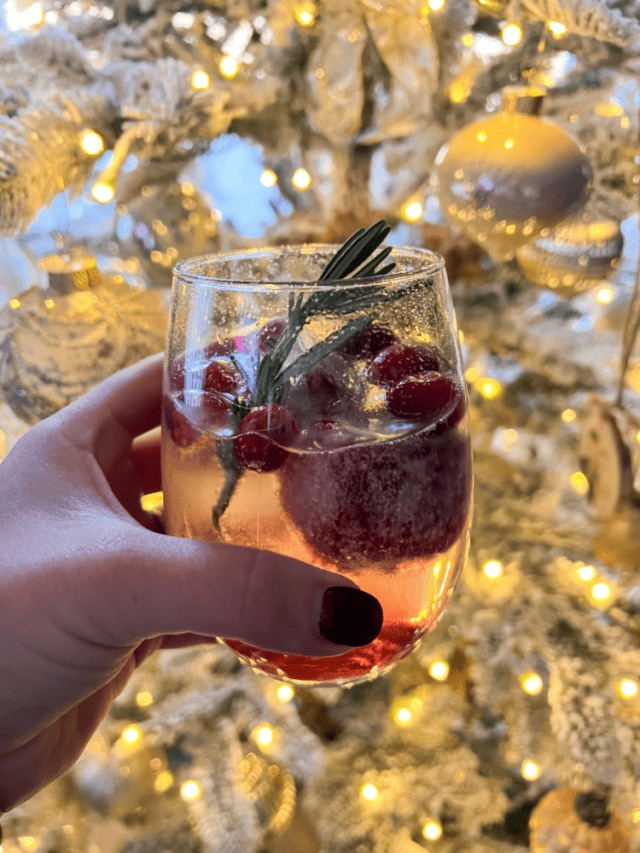 Festive Cranberry Rosemary Ice Cubes - Mornings on Macedonia