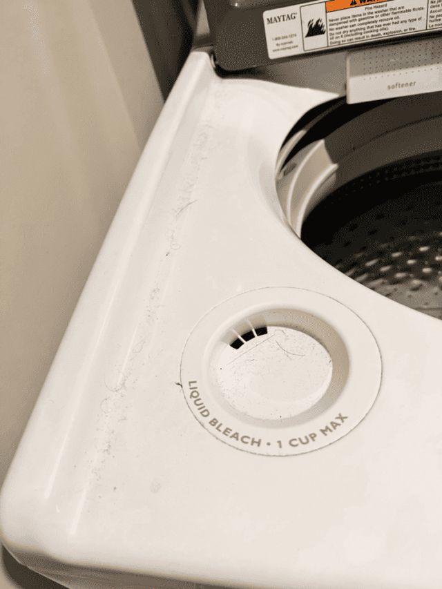 How to Clean a Washing Machine With Vinegar - Mornings on Macedonia