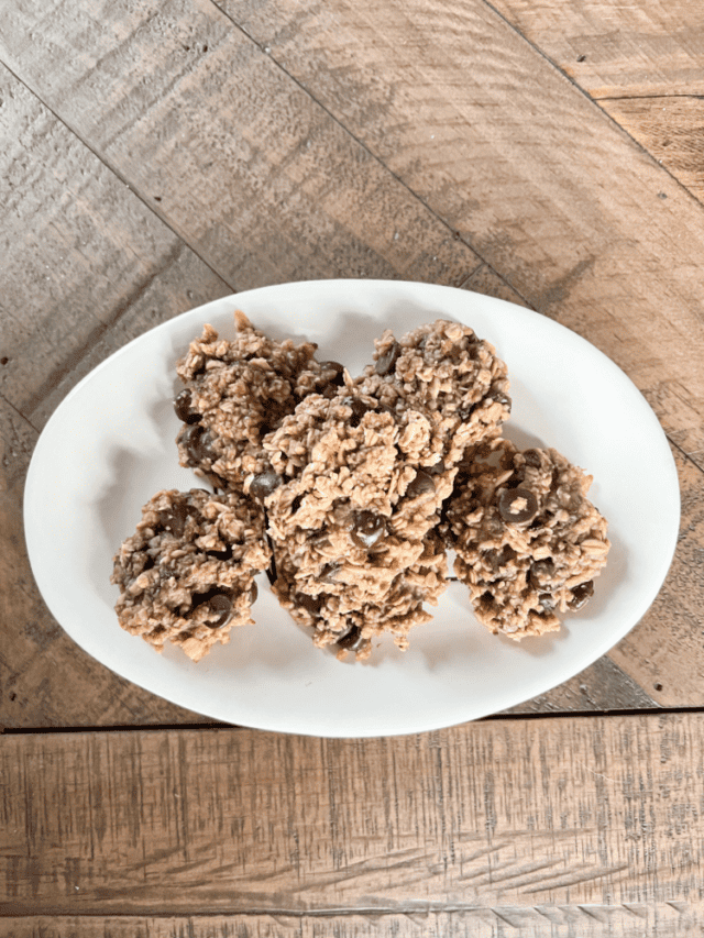Easy 4 Ingredient Peanut Butter Oatmeal Cookies - Mornings on Macedonia