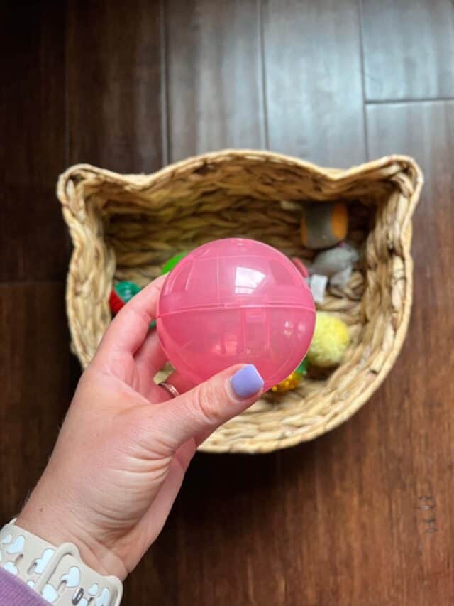 The Best DIY Moving Cat Toy - Mornings on Macedonia