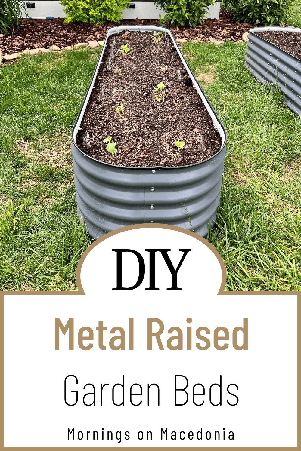 DIY Metal Raised Garden Beds - Mornings on Macedonia